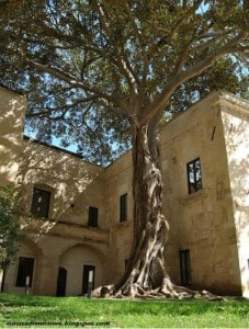 Diario di viaggio: Lecce, la perla del Salento | Turista Di Mestiere